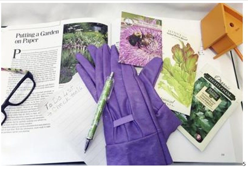 Why Bee Decline Matters - Edmonds in Bloom