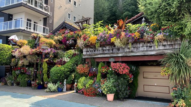 Alki Beach Flower Houses - Edmonds in Bloom