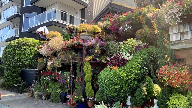 Alki Beach Flower Houses - Edmonds in Bloom