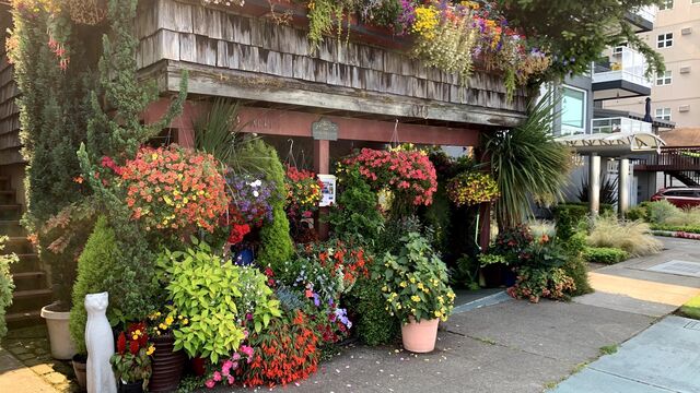 Alki Beach Flower Houses - Edmonds in Bloom