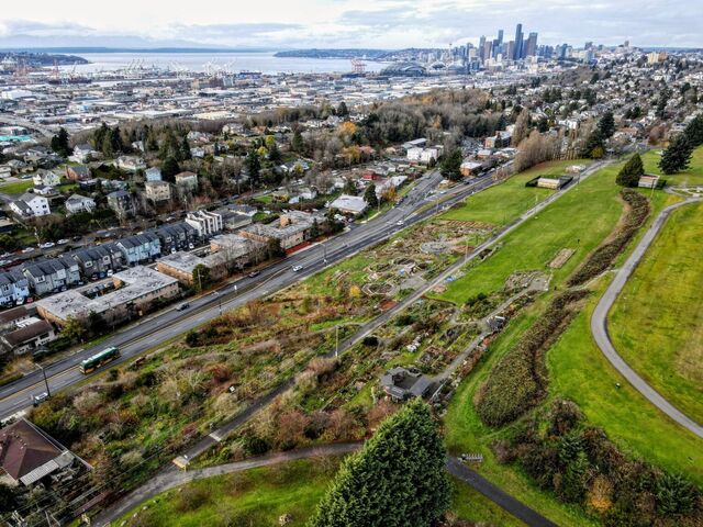 Beacon Food Forest - Edmonds in Bloom