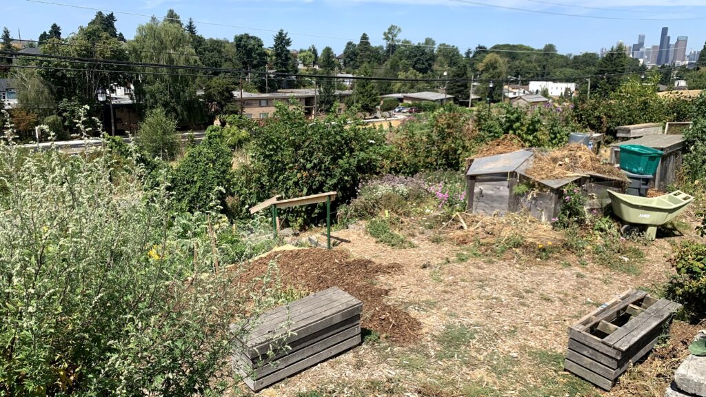 Beacon Food Forest - Edmonds in Bloom