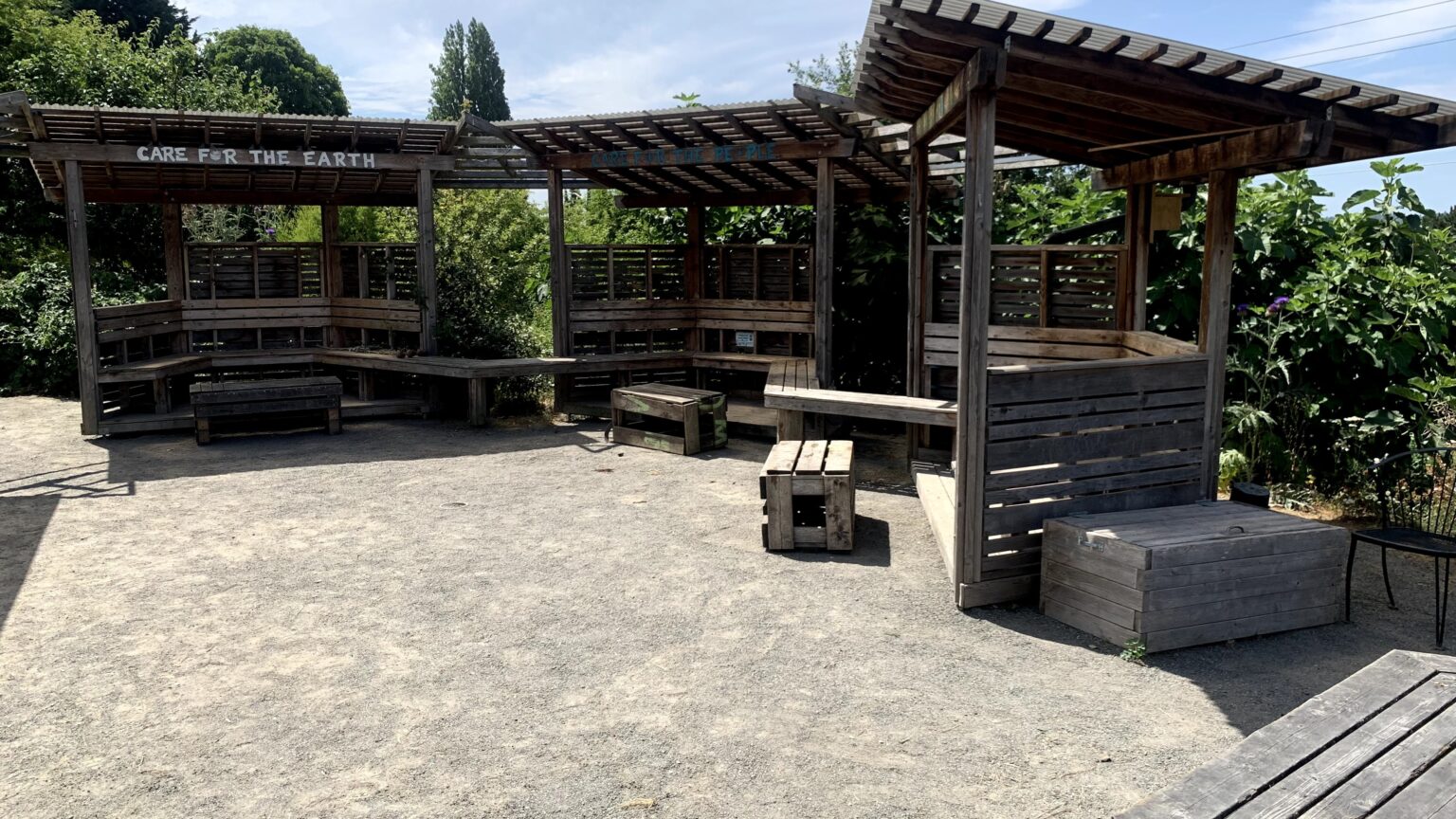 Beacon Food Forest - Edmonds in Bloom