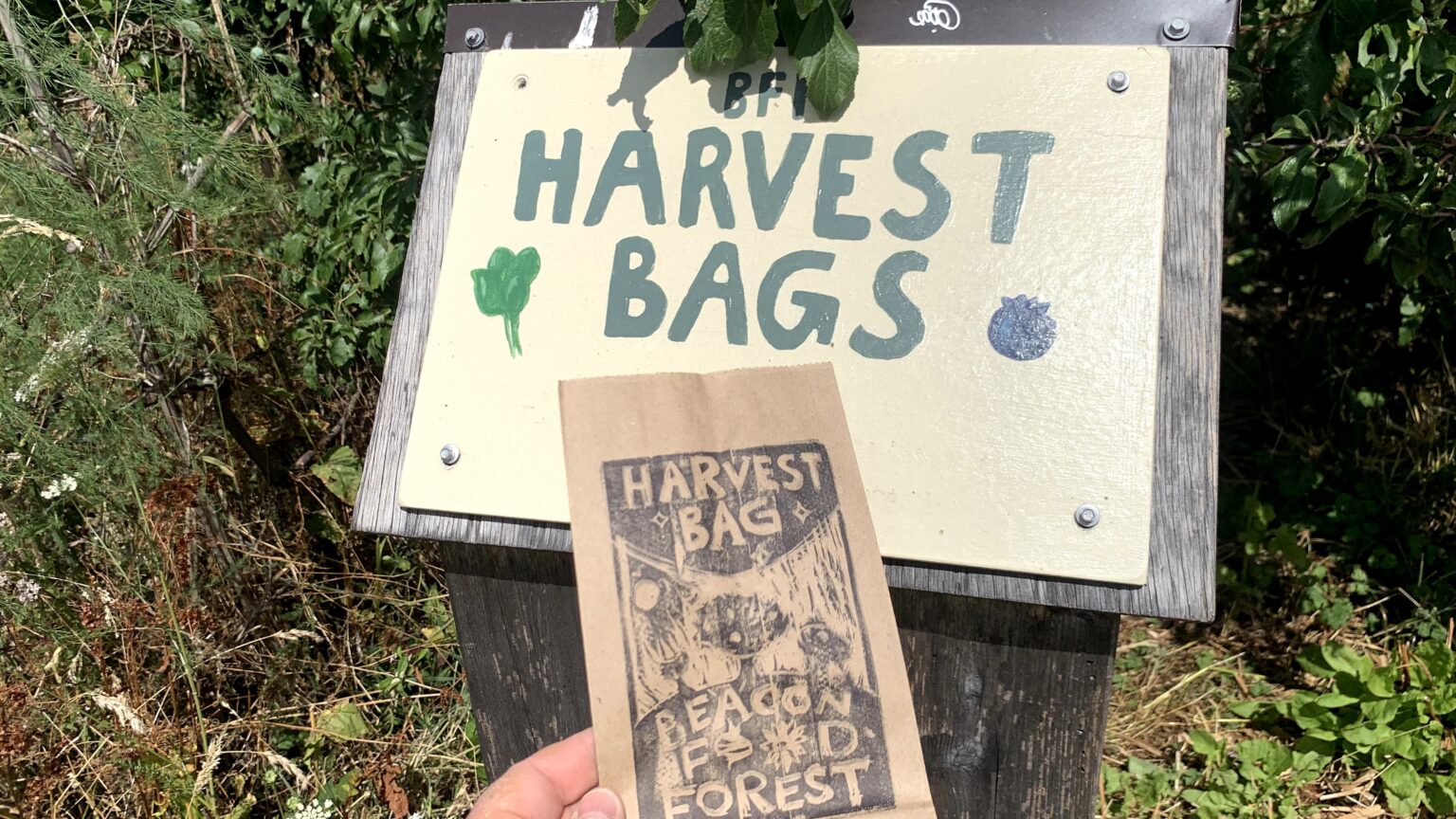 Beacon Food Forest - Edmonds in Bloom
