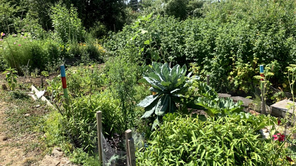 Beacon Food Forest - Edmonds in Bloom