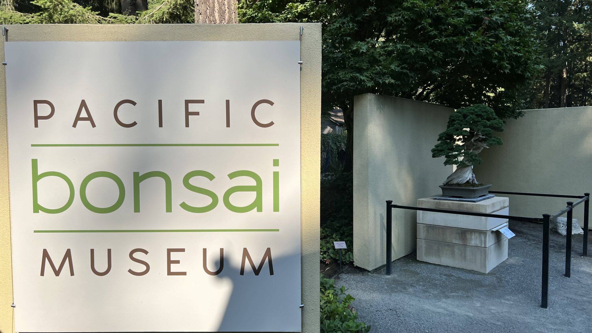 Pacific Bonsai Museum - Edmonds in Bloom